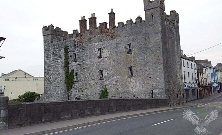 Welcome to AthyIreland.com: Your Community Hub for All Things Athy ...